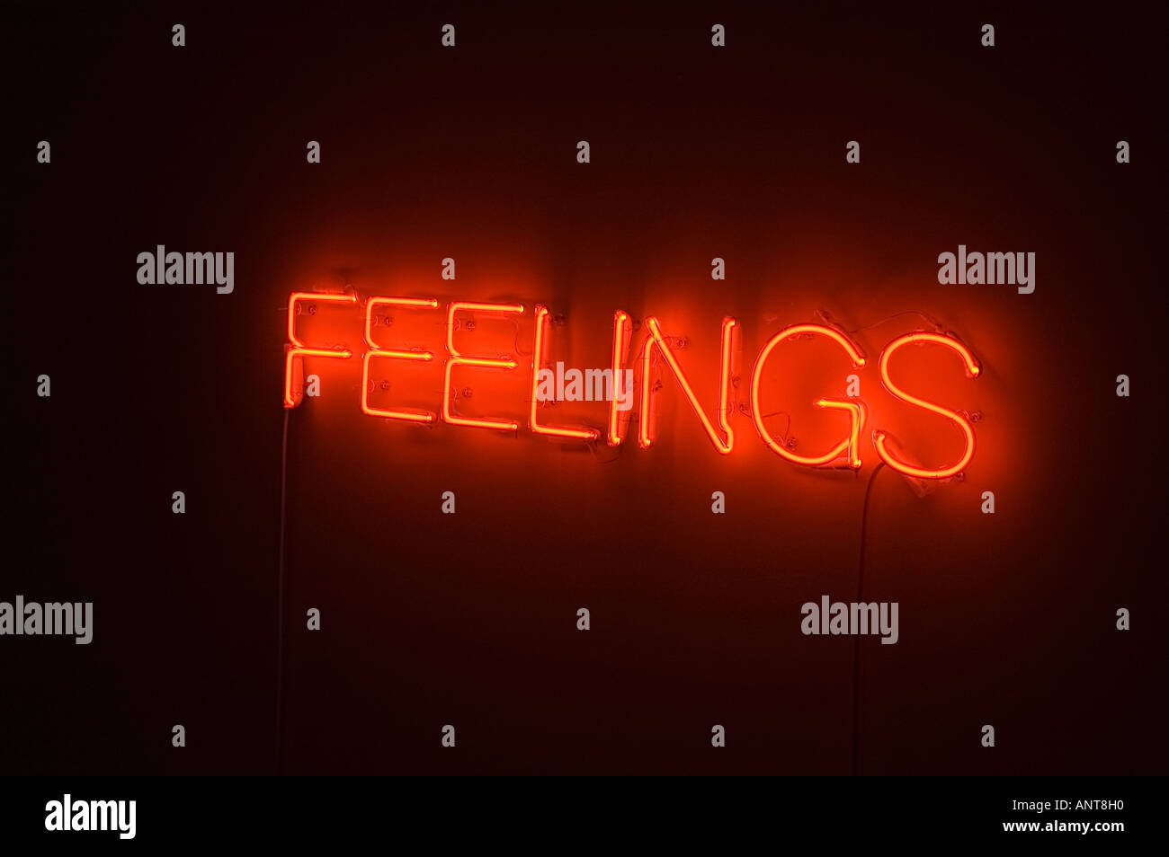 Glow sign feelings in night club Stock Photo - Alamy