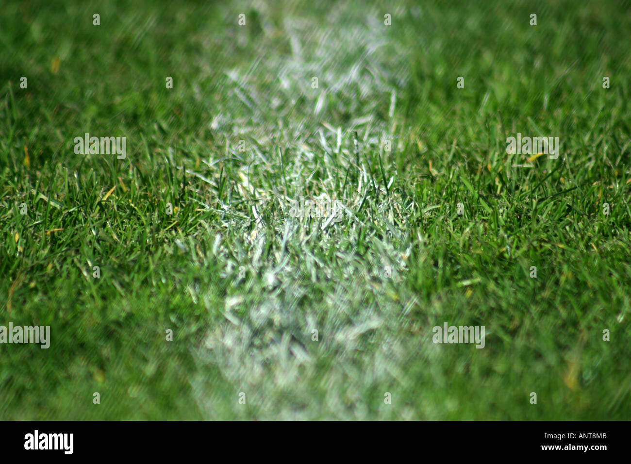 Soccer half way line Stock Photo - Alamy