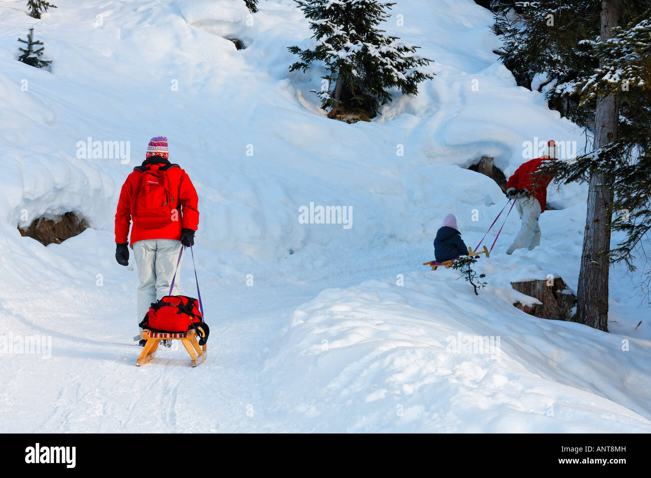 Going uphill for sledging Stock Photo - Alamy