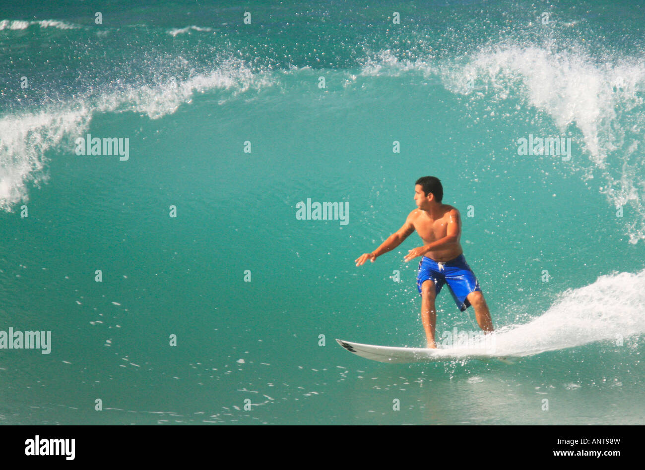 Surfer on Sunset Beach North Shore Oahu Hawaii Stock Photo - Alamy