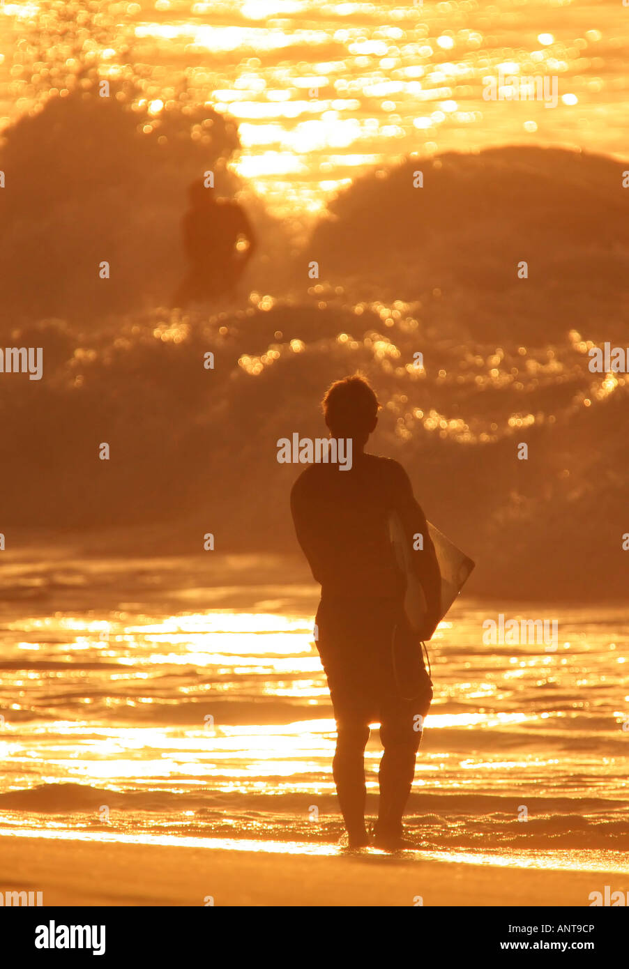 Surfer on Sunset Beach North Shore Oahu Hawaii Stock Photo - Alamy
