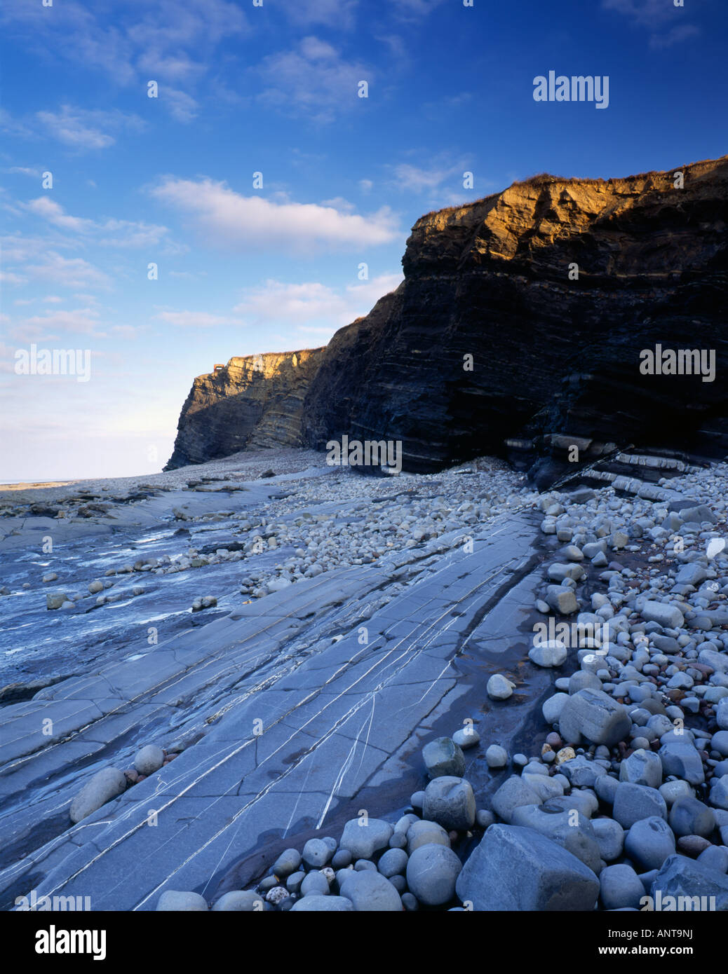The rocky beach and Cliffs at Kilve at Bridgwater Bay in the Bristol ...