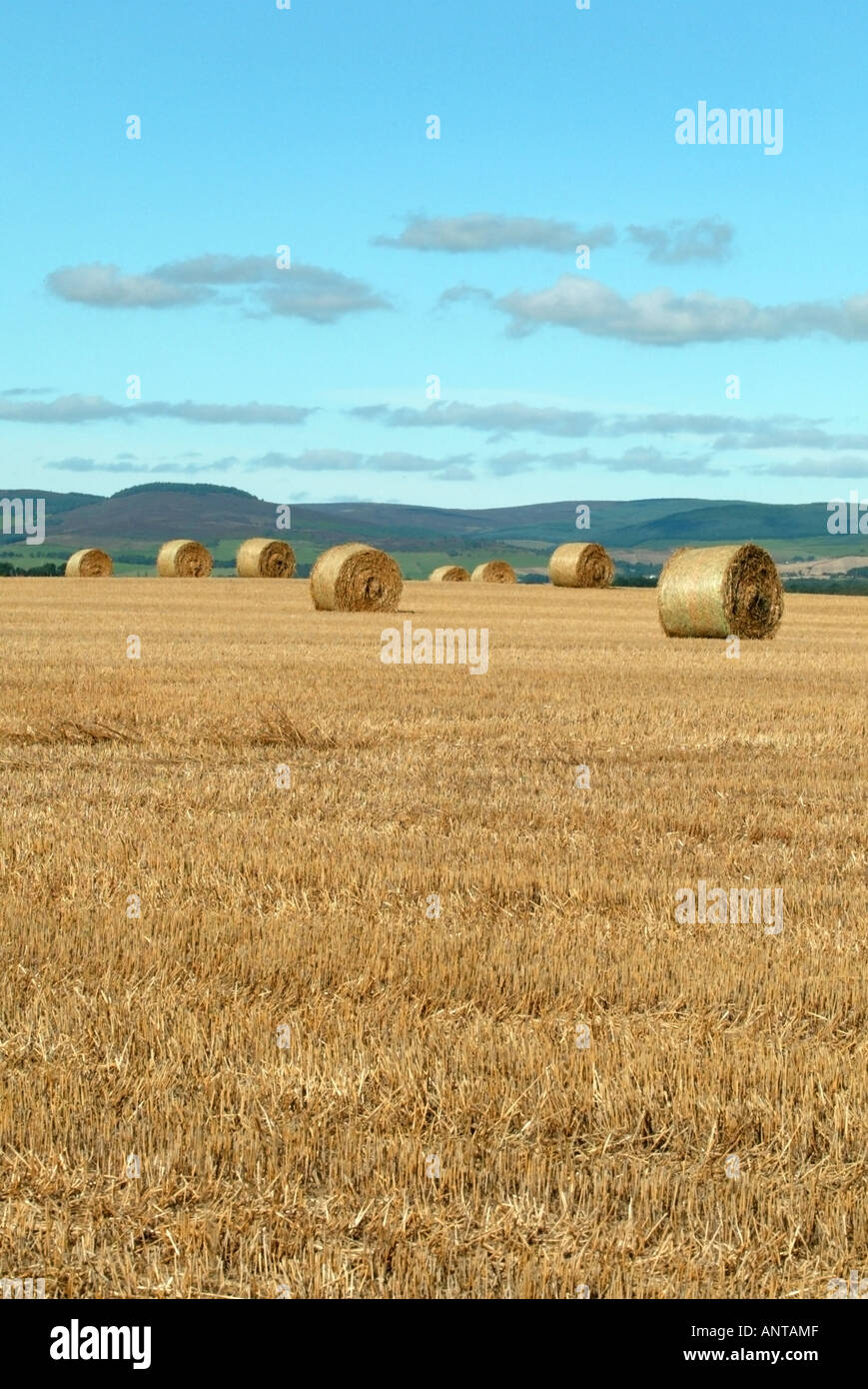 Scotland hay bale mountain hi-res stock photography and images - Alamy