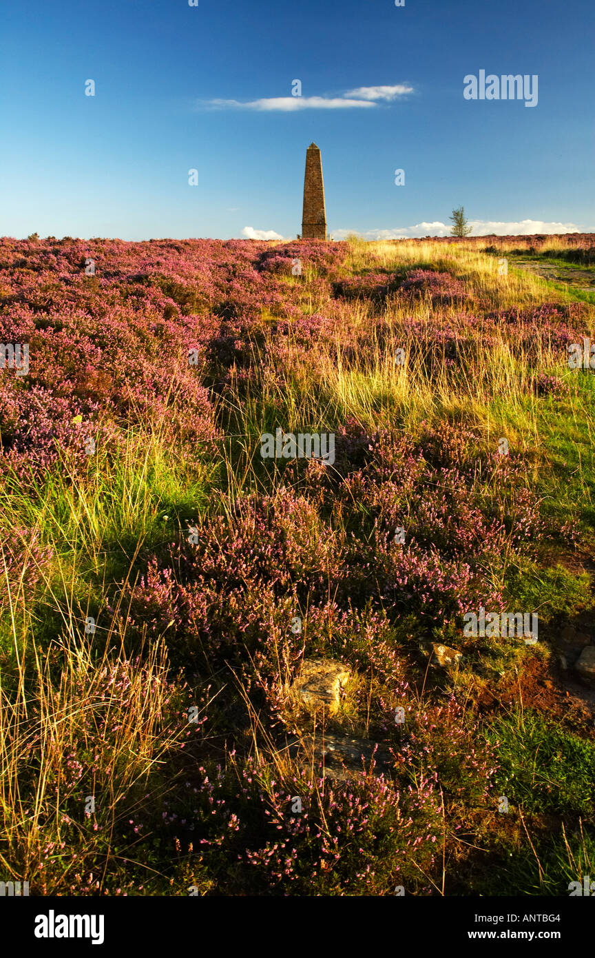 Captain Cooks Monument on Easby Moor above Great Ayton North York Moors ...