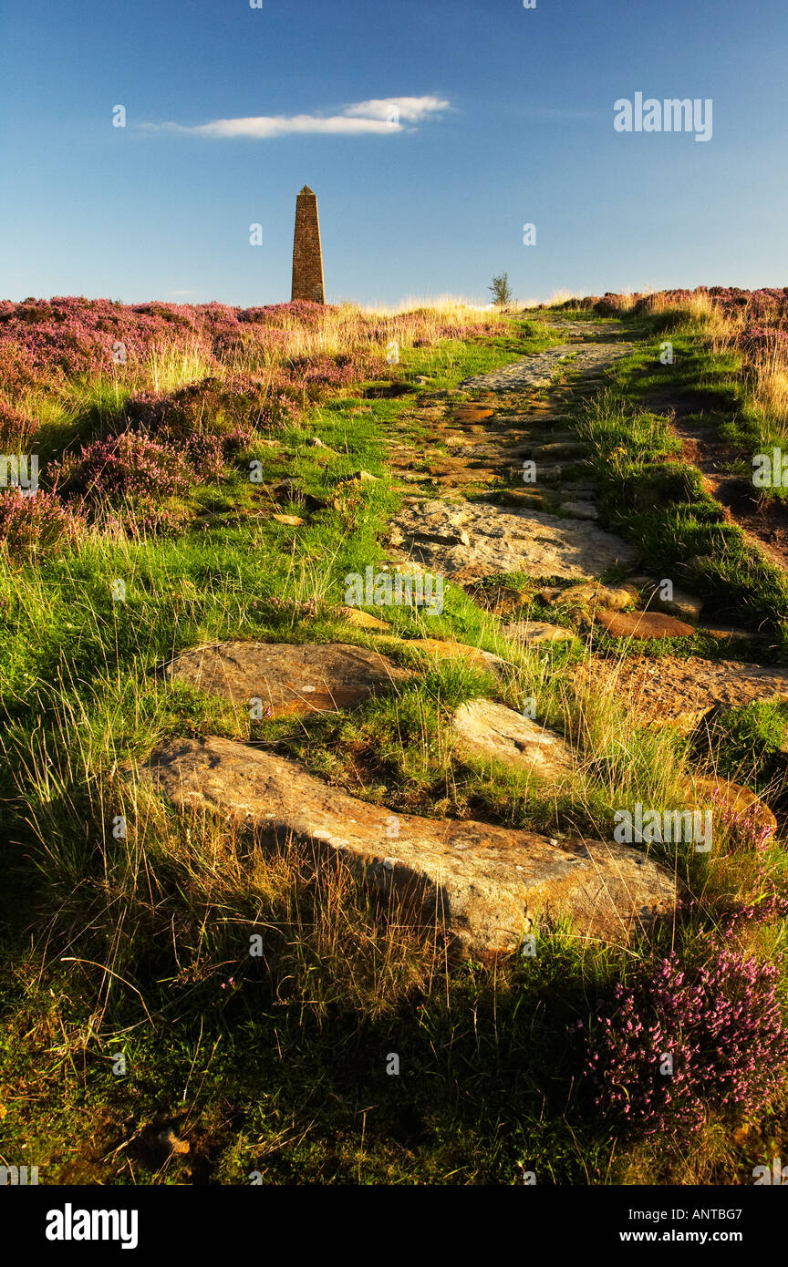 Captain Cooks Monument Easby Moor North York Moors England Stock Photo ...