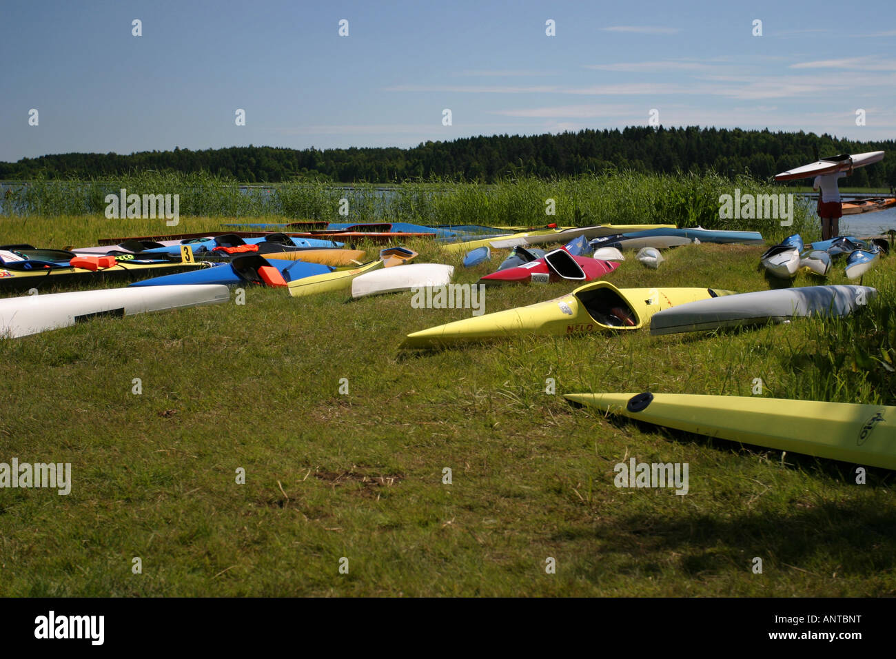 Many Canoe in competition lie on beach Stock Photo - Alamy