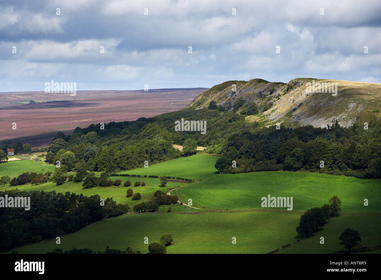 Hawnby moor hi-res stock photography and images - Alamy