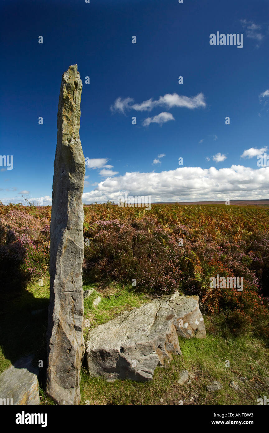 Standing Stone Wheeldale Moor North York Moors National Park England ...