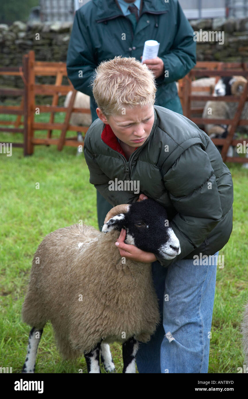 Young shepherd at the Sheep Judging at the annual Muker Agriculture ...