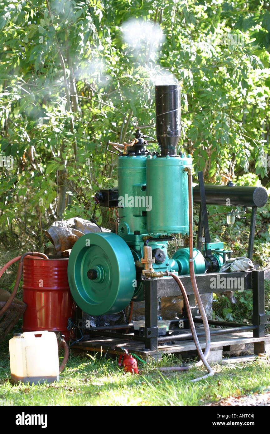 Green steam engine in garden Stock Photo - Alamy