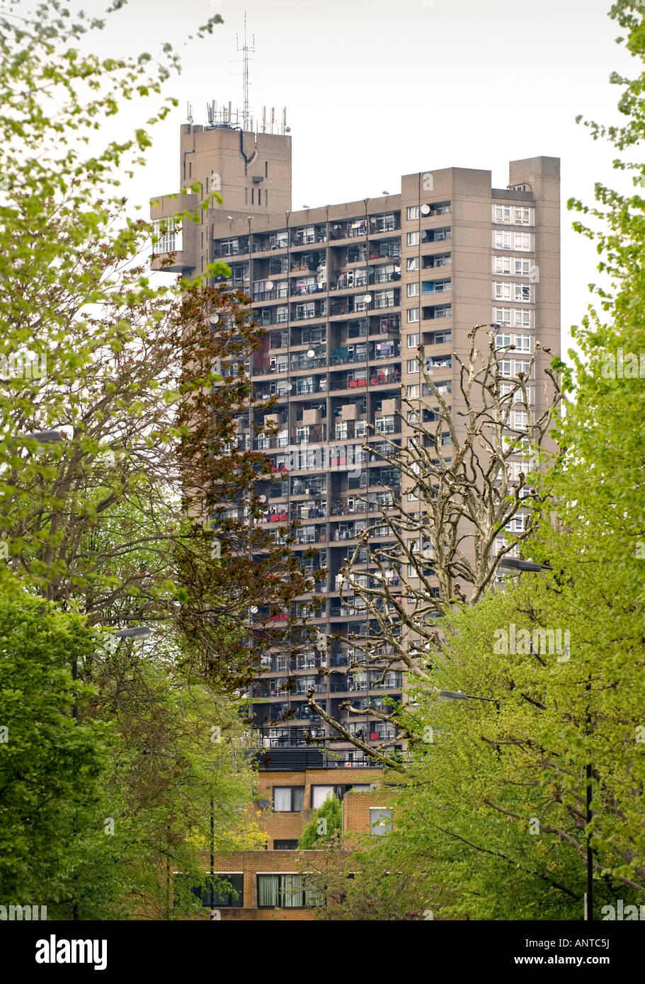 Trellick Tower, Notting Hill, London Stock Photo - Alamy