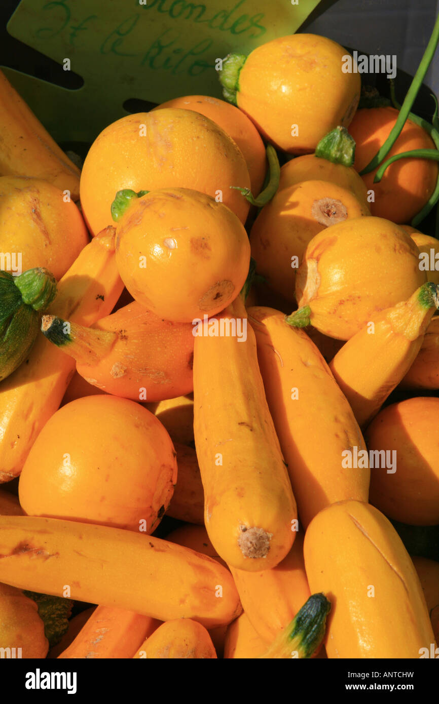 close up of yellow squash on market stall, Dinan, Cotes d'Amour ...