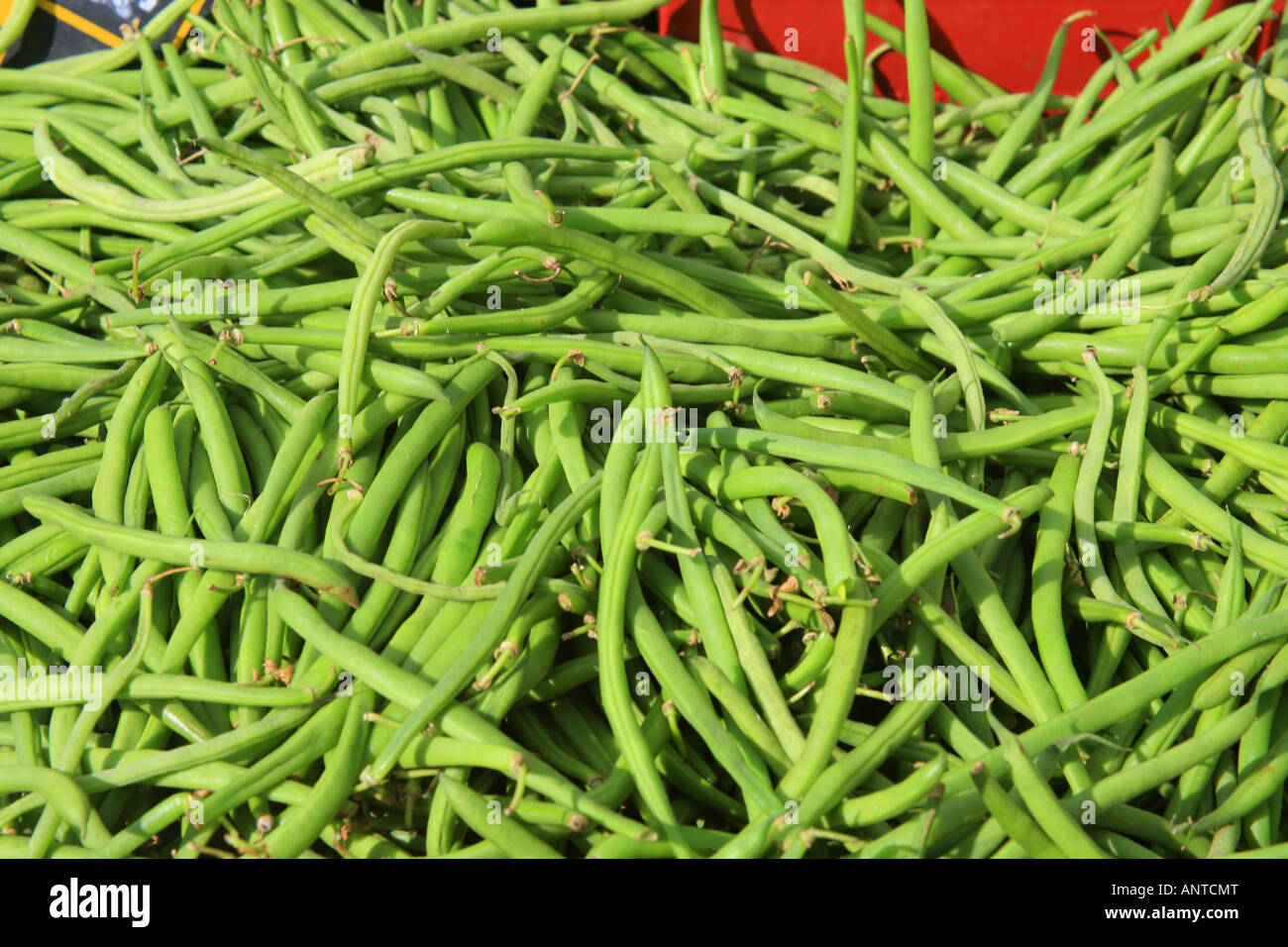 close up of French beans on market stall, Britanny, France Stock Photo ...