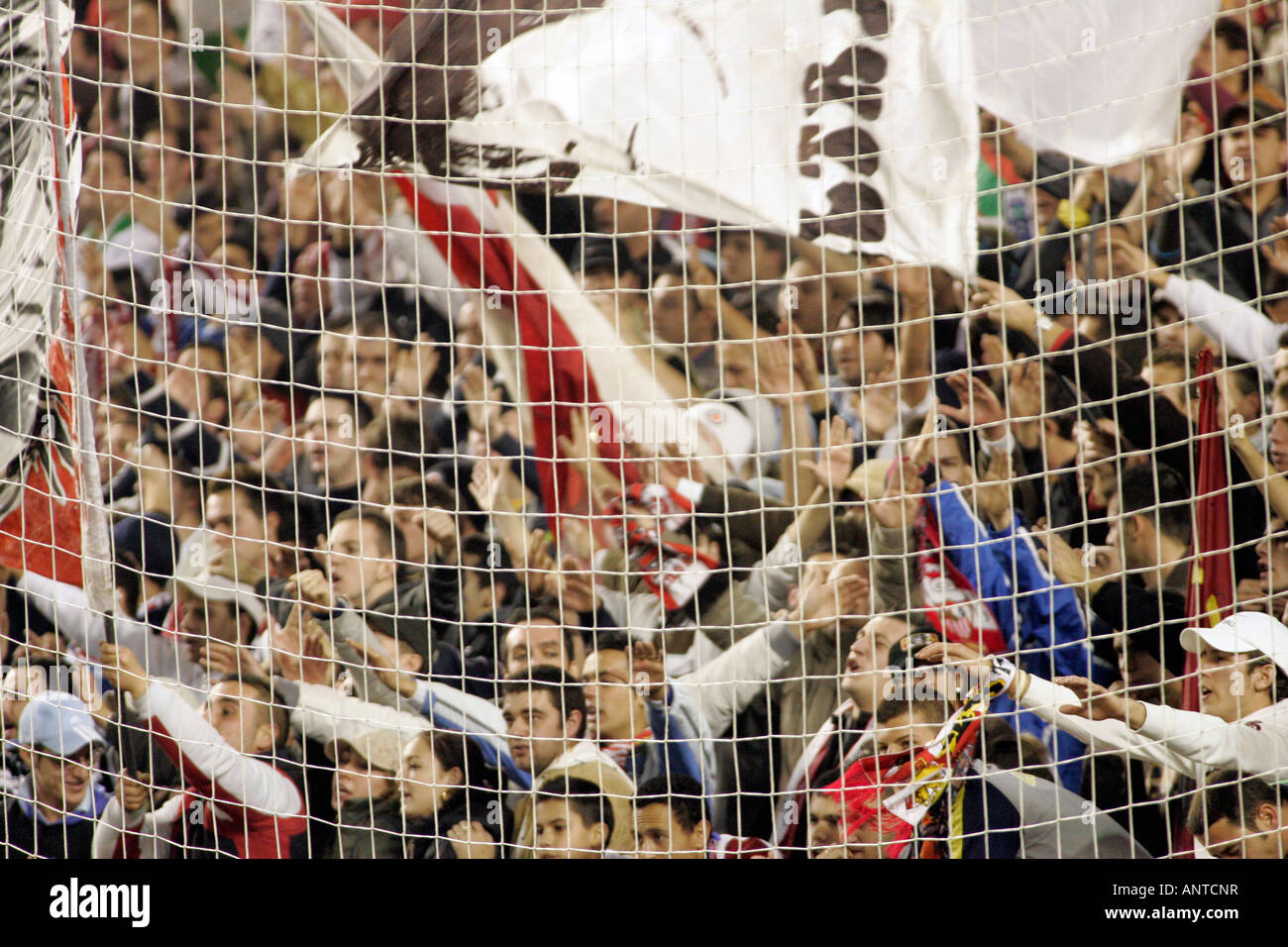 Football fans cheering behind hi-res stock photography and images - Alamy