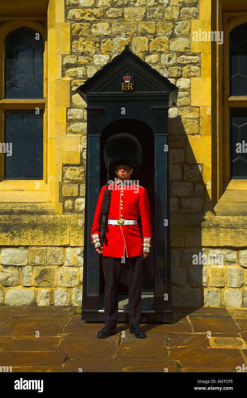 Grenadier hat Bearskin Cap Busby guard Stock Photo - Alamy