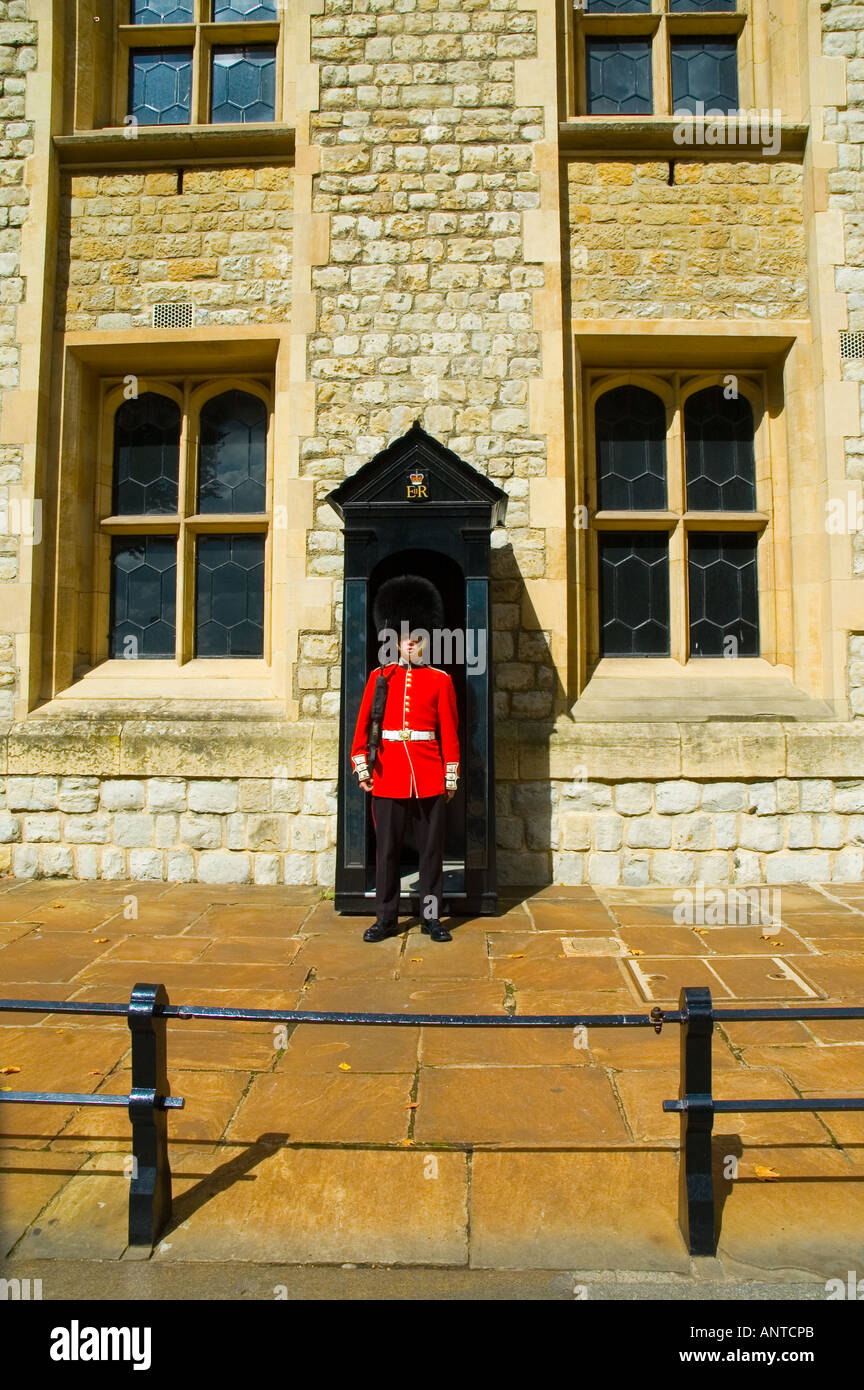 British grenadier cap hi-res stock photography and images - Alamy