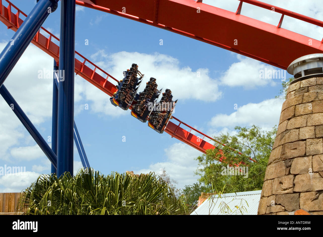 Sheikra Roller Coaster Stock Photo - Alamy