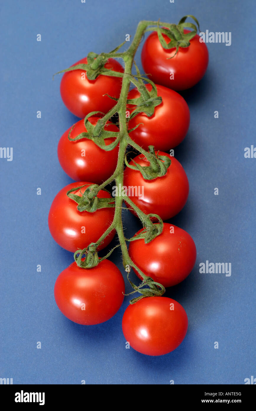 Nice picture of Vine ripened Tomatoes Stock Photo - Alamy