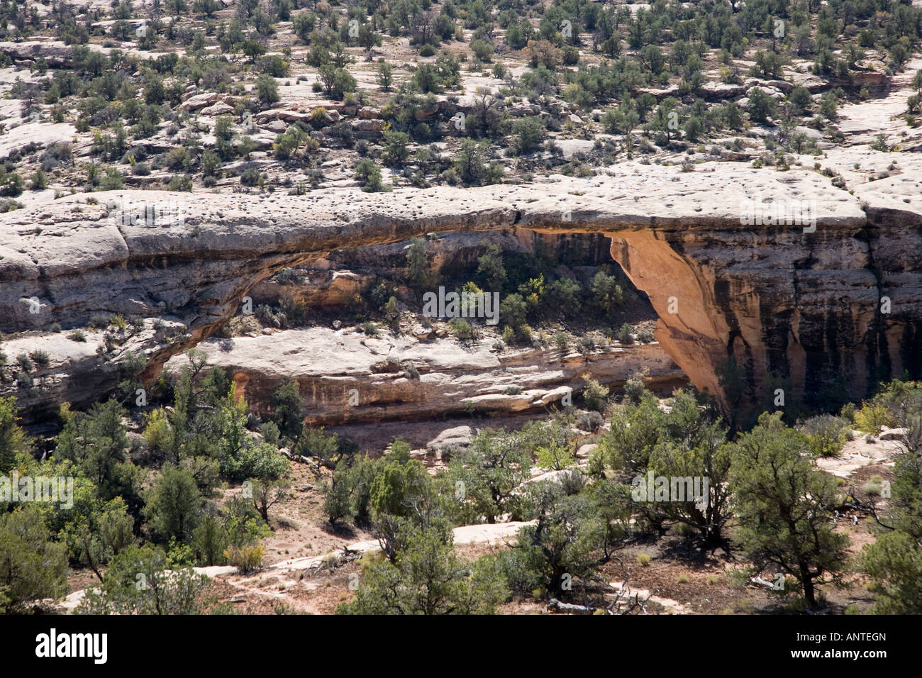 Owachomo Bridge is in the Natural Bridges National Monument in Utah ...