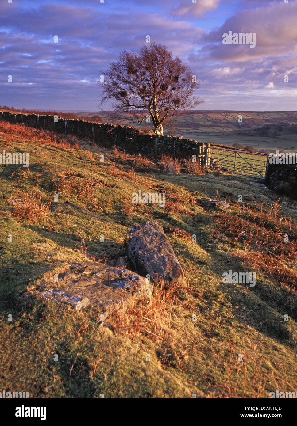 Danby gate hi-res stock photography and images - Alamy