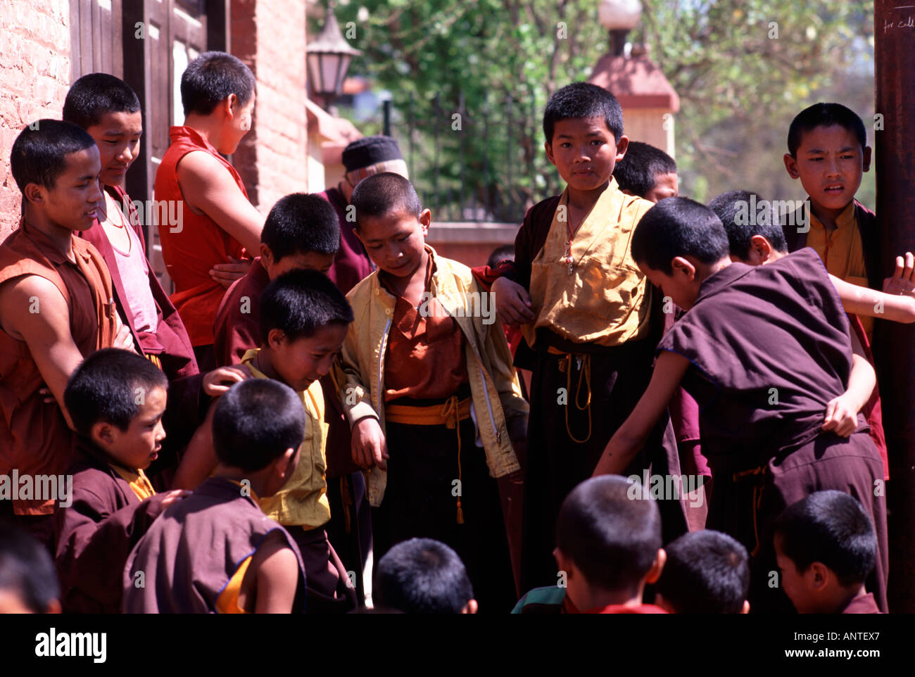 Tibetan Buddhist boy monks in monastry in Bouddhanath, Nepal Stock ...