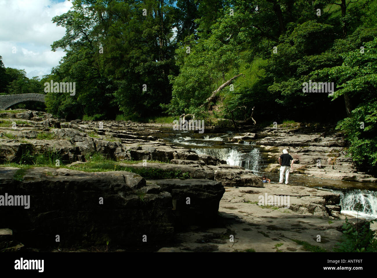 Stainforth Force North Yorkshire in Summer Stock Photo - Alamy