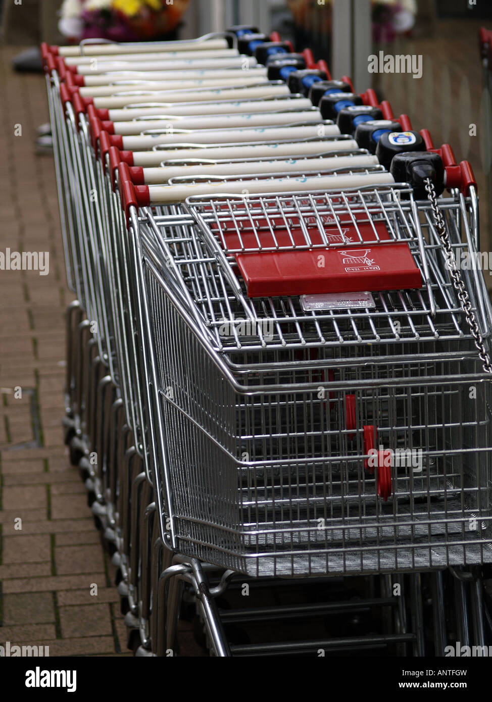 A row of supermarket shopping trolleys, shopping carts Stock Photo - Alamy