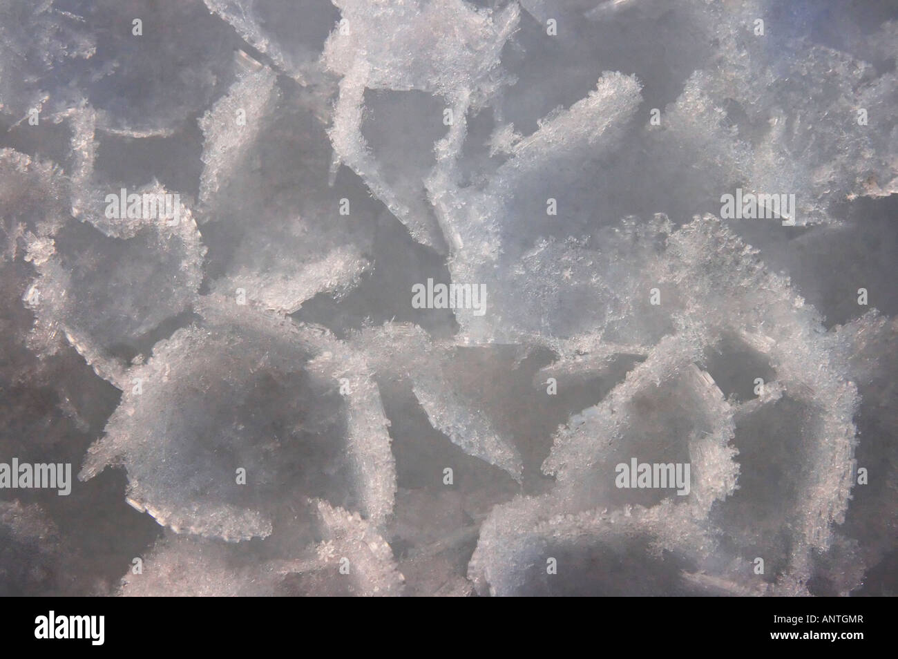 Winter snow surface texture Stock Photo - Alamy