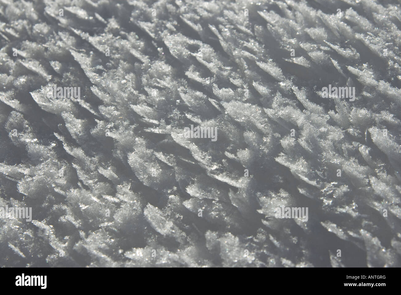 Winter snow surface texture Stock Photo - Alamy