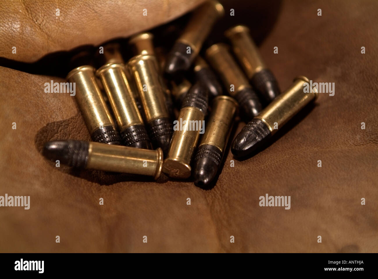 Leather hand gun glove hi-res stock photography and images - Alamy
