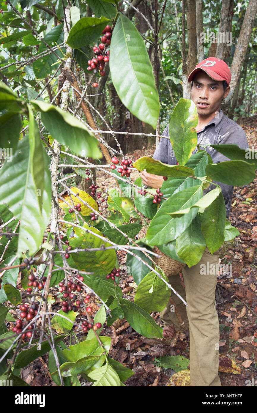 Salary men coffee hi-res stock photography and images - Alamy