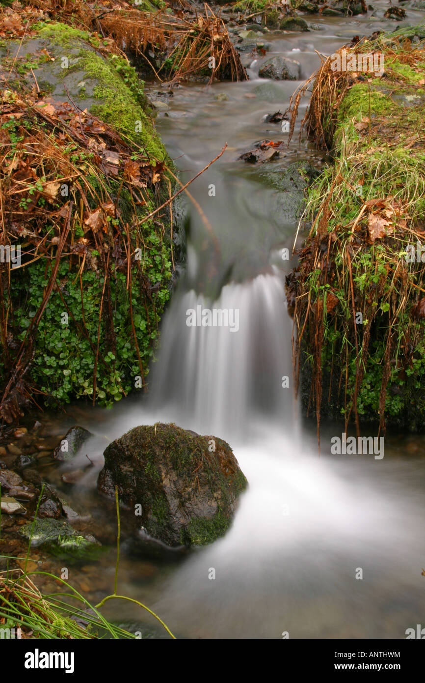 Gill burn hi-res stock photography and images - Alamy