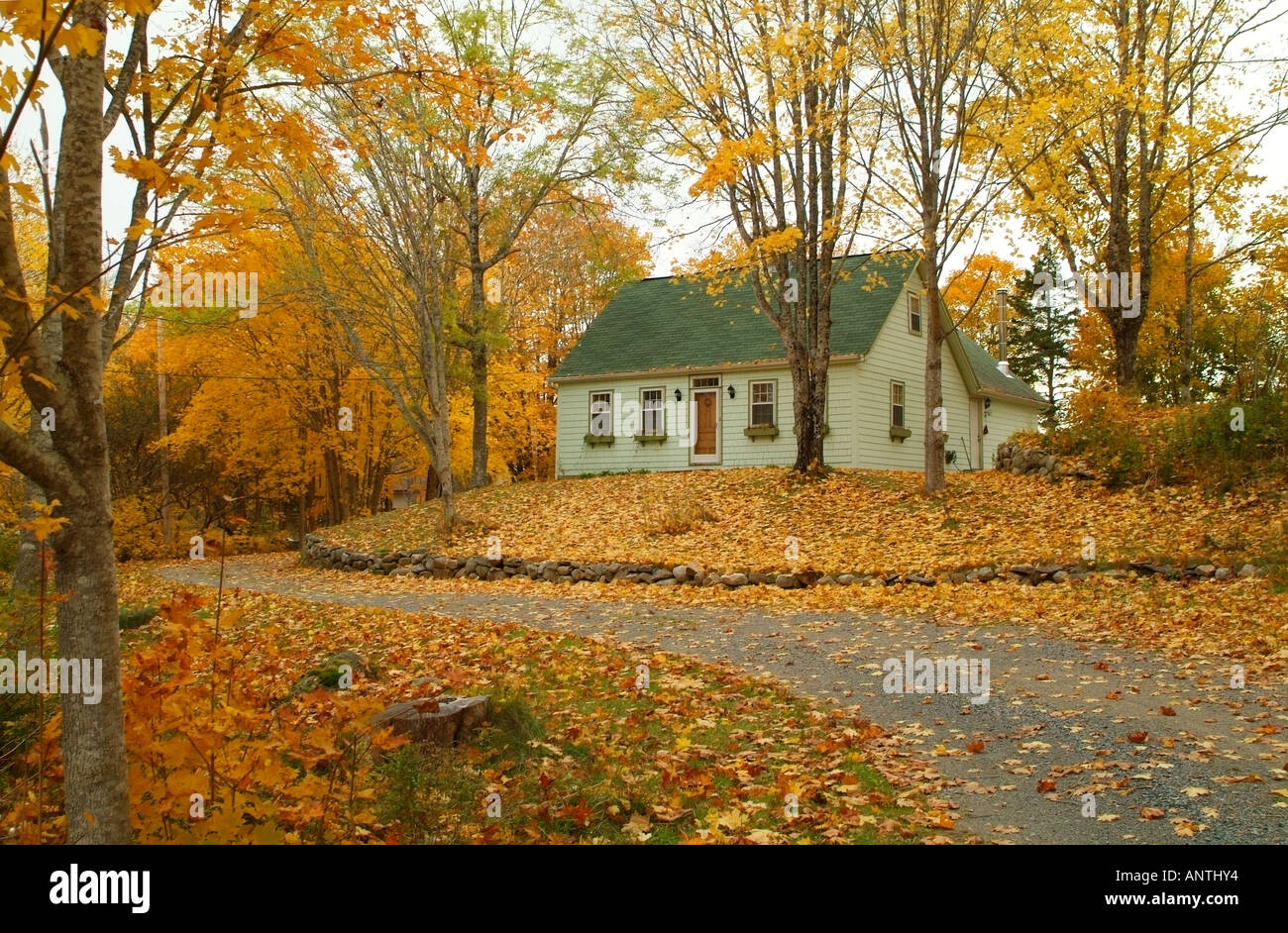 A small country house surrounded by fall colors and leaves Stock Photo ...