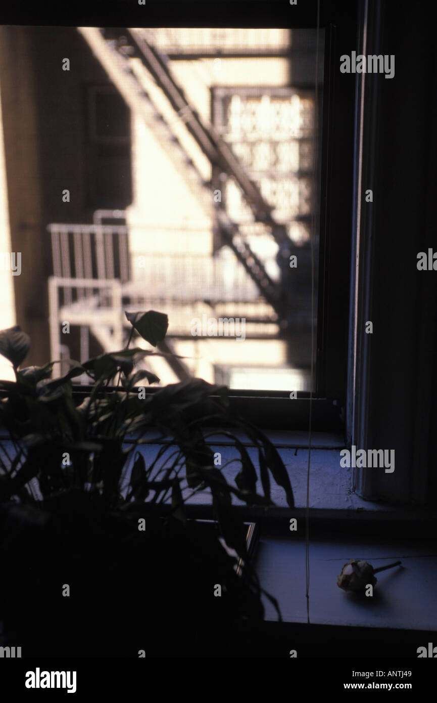 window room apartment new york fire stair Stock Photo - Alamy