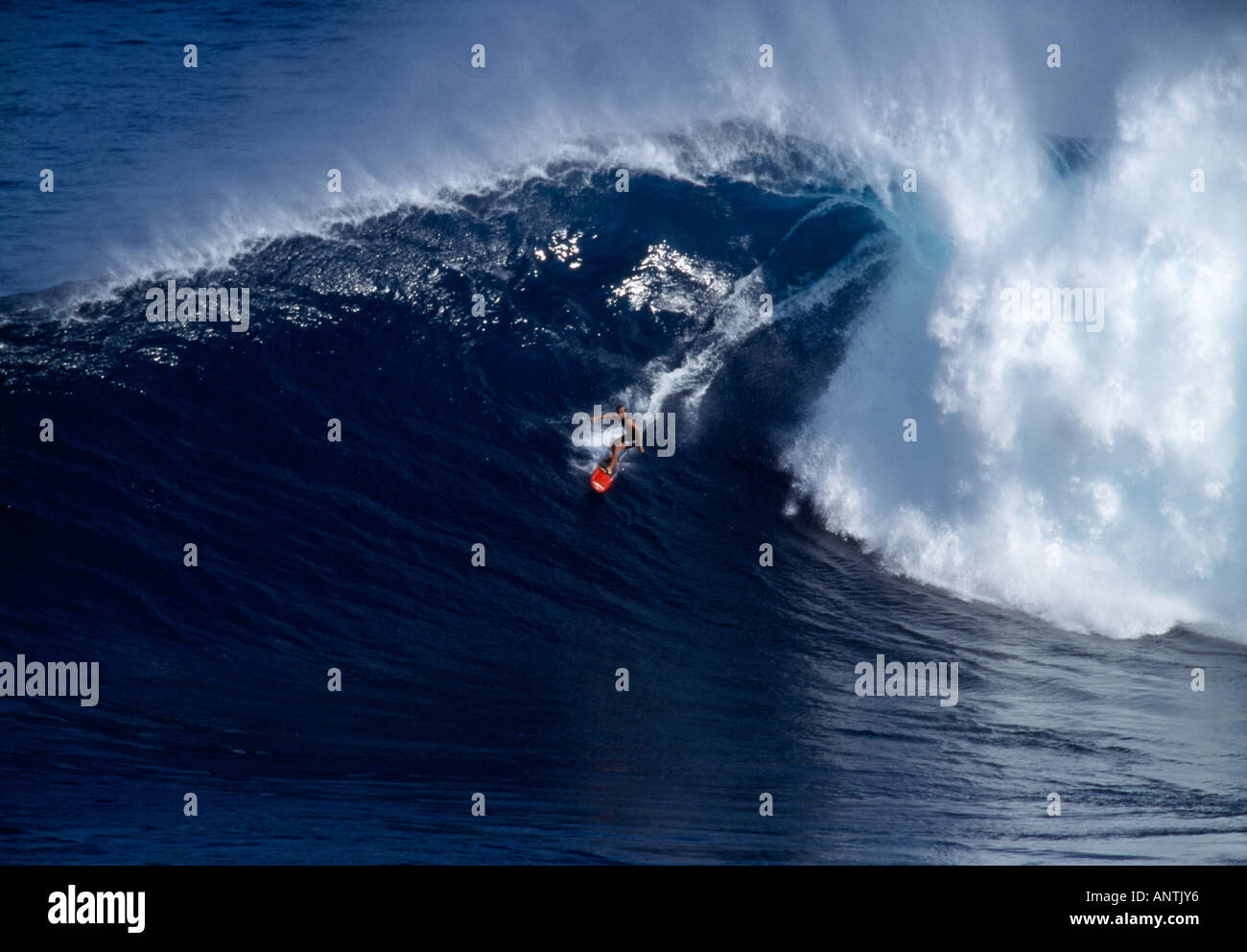 SURFER RIDING A WAVE JAWS MAUI Stock Photo - Alamy