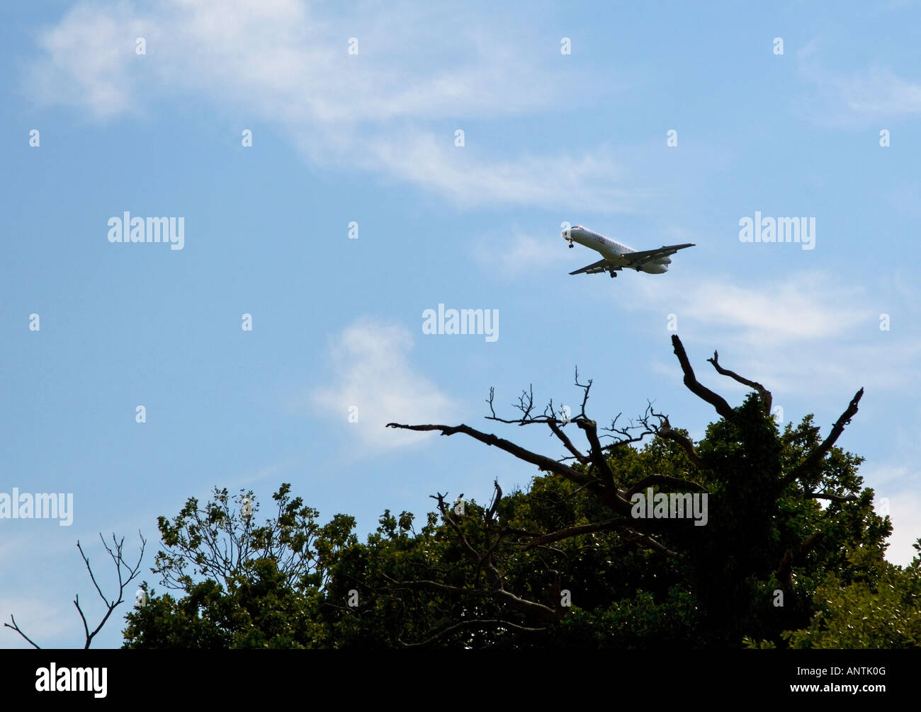flybe plane landing at Manchester Stock Photo - Alamy