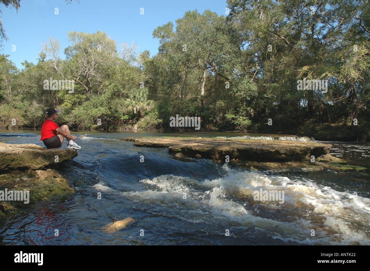 Florida Steinhatchee River Falls Panhandle area Stock Photo - Alamy