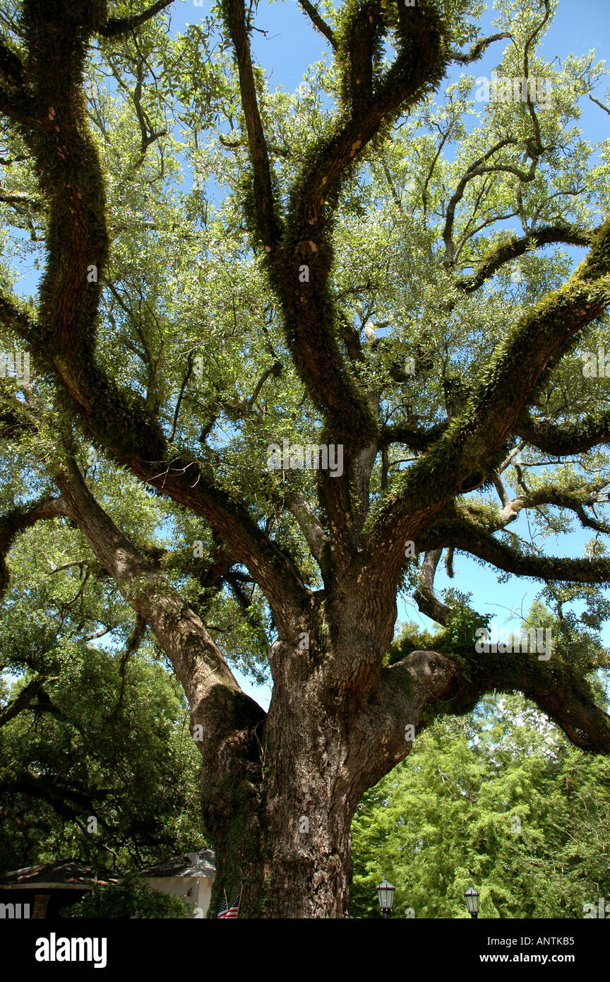 Poem text hi-res stock photography and images - Alamy