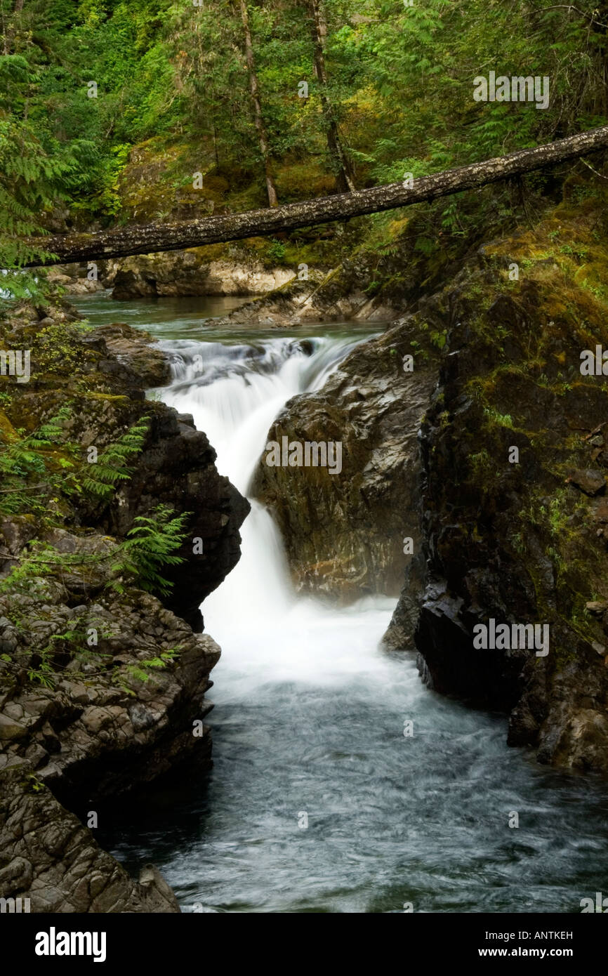 Lower Little Qualicum River Falls, Little Qualicum River Provincial ...