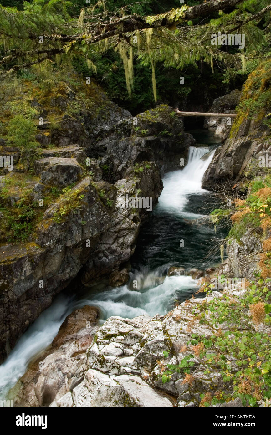 Lower Little Qualicum River Falls, Little Qualicum River Provincial ...