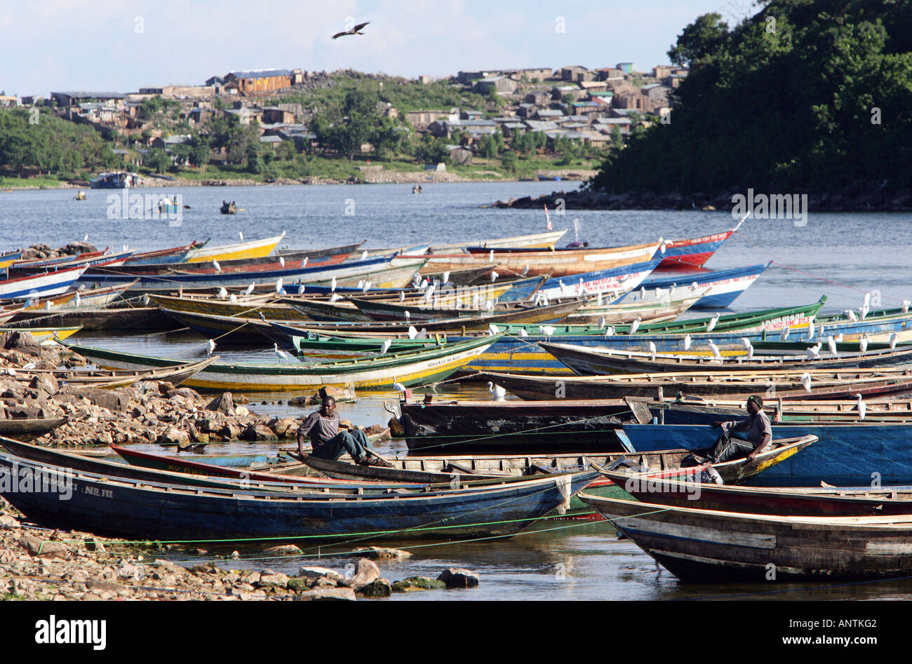 Victoria lake hi-res stock photography and images - Alamy