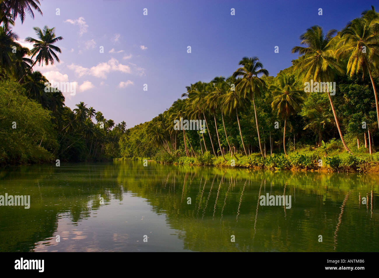 Loboc river and forest landscape Bohol The Philippines Stock Photo - Alamy