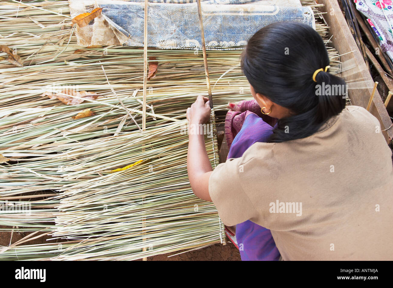 Woman Weaving Reeds To Make Roofing Stock Photo - Alamy