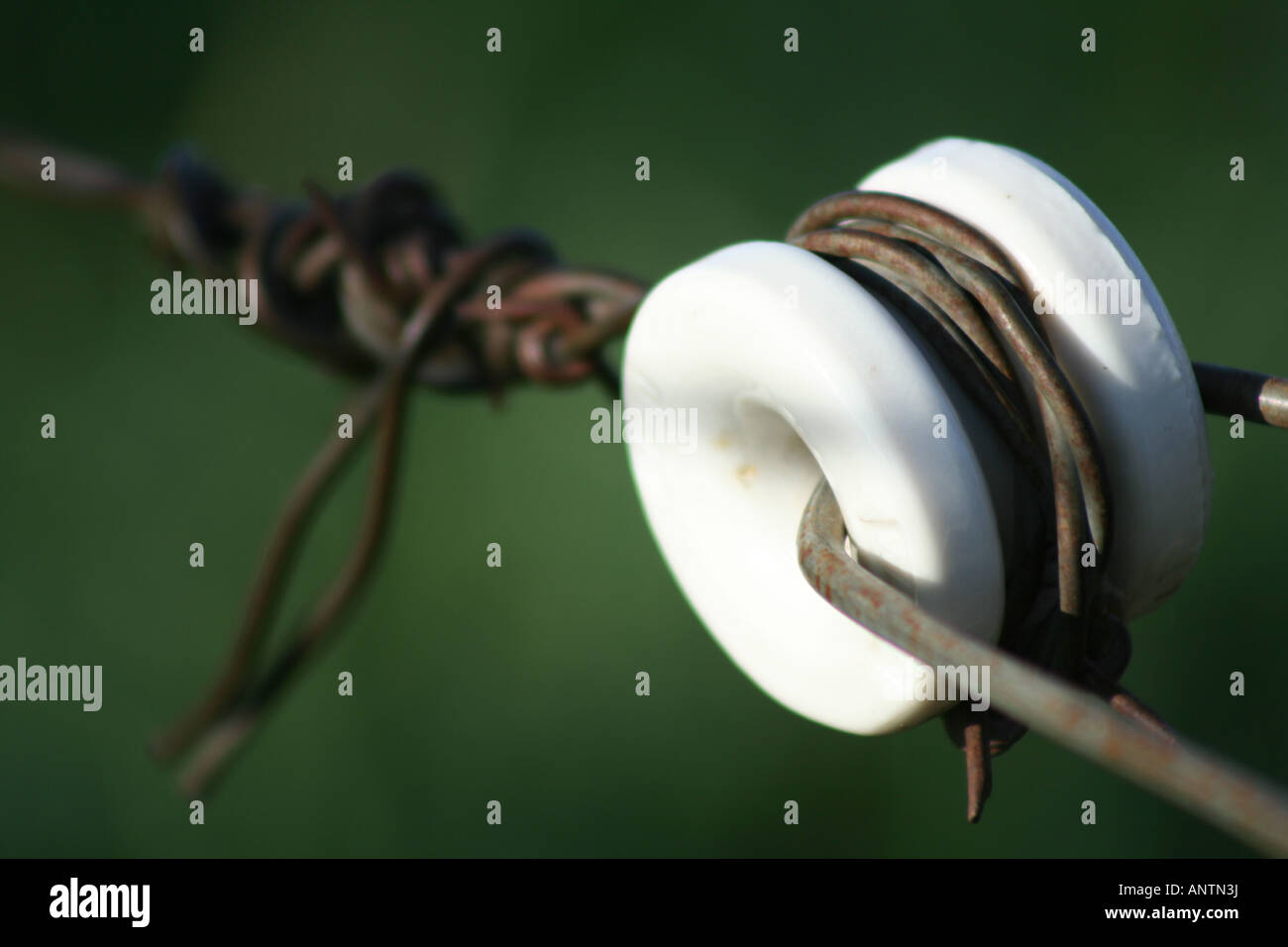 Old insulator on barb wire fence Stock Photo - Alamy