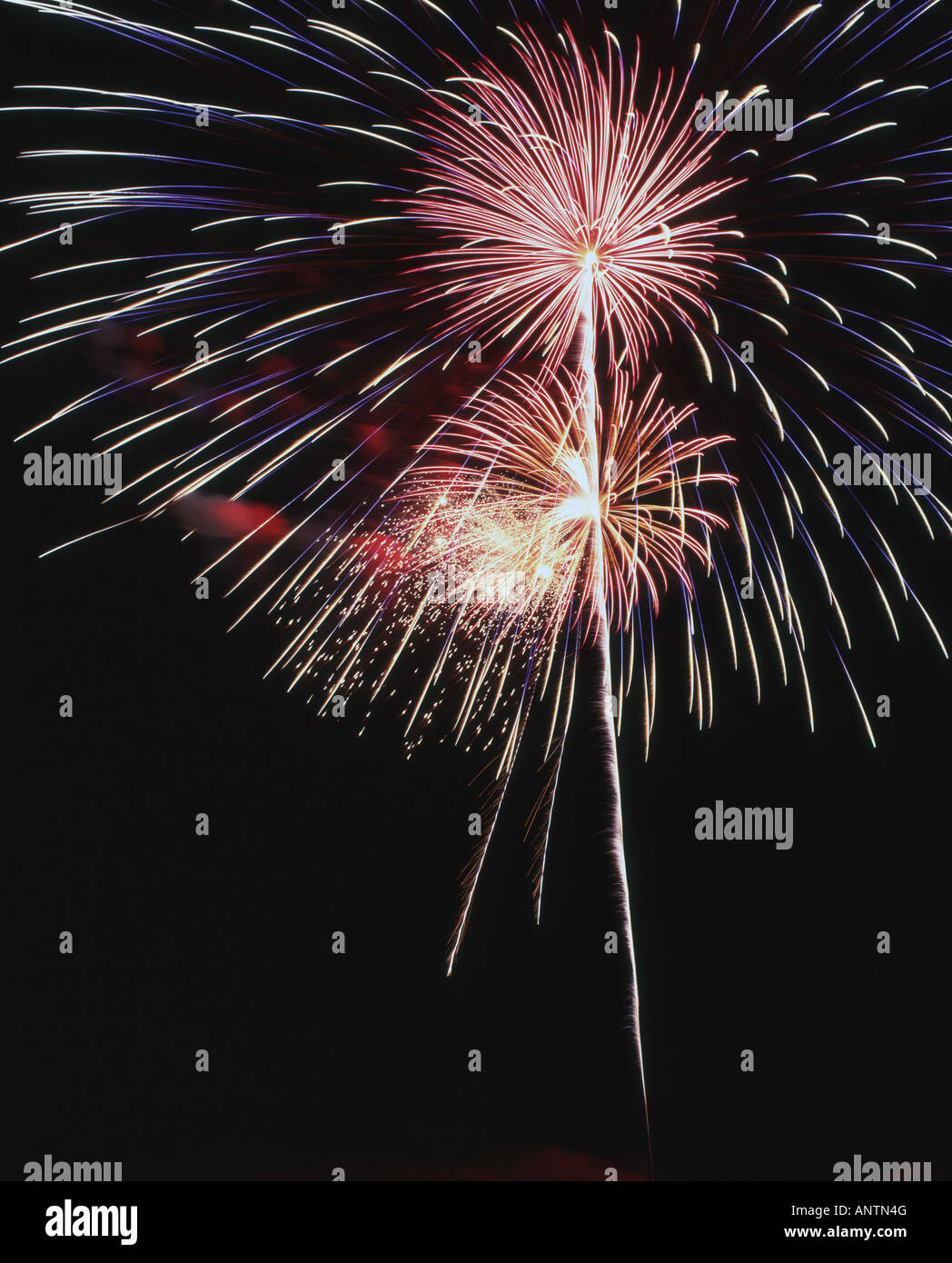 Fireworks display at night Stock Photo - Alamy
