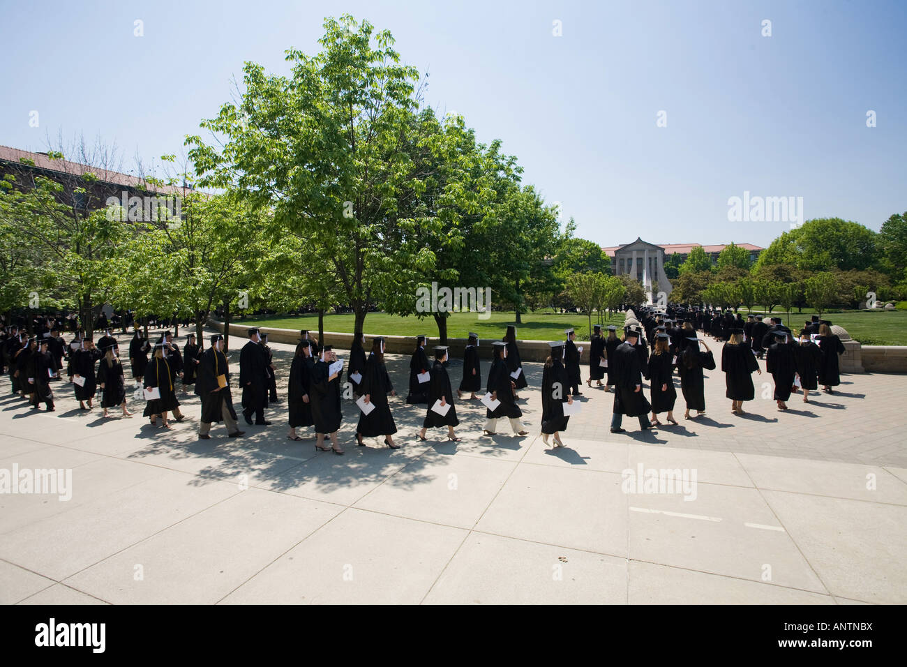 University Graduation Ceremony Stock Photo - Alamy