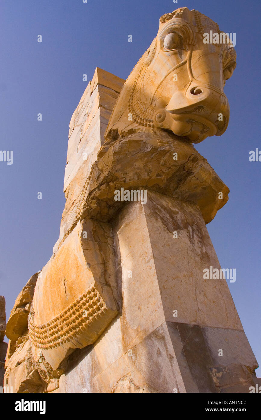 Horse Persepolis Iran Stock Photo - Alamy