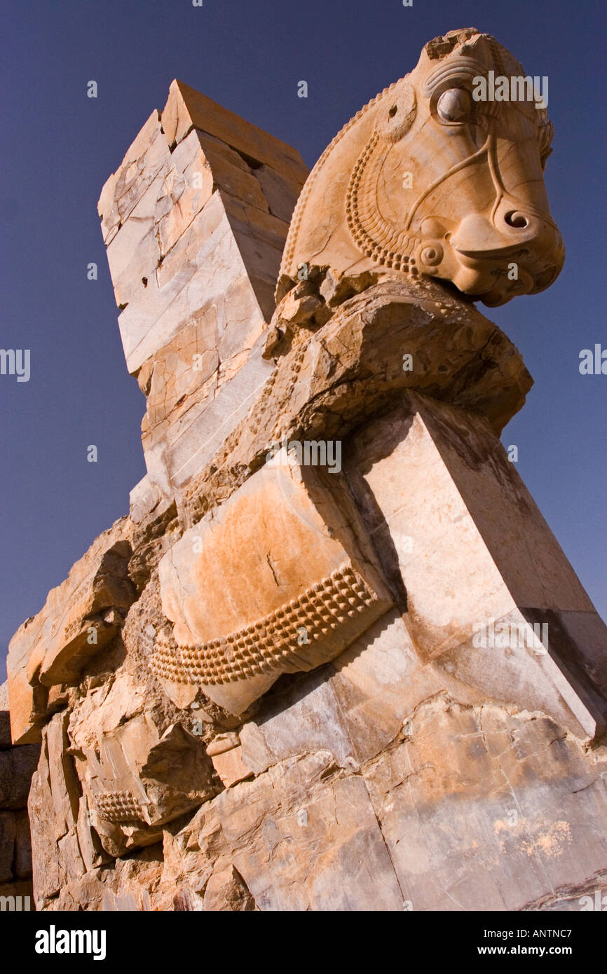 Horse Persepolis Iran Stock Photo - Alamy