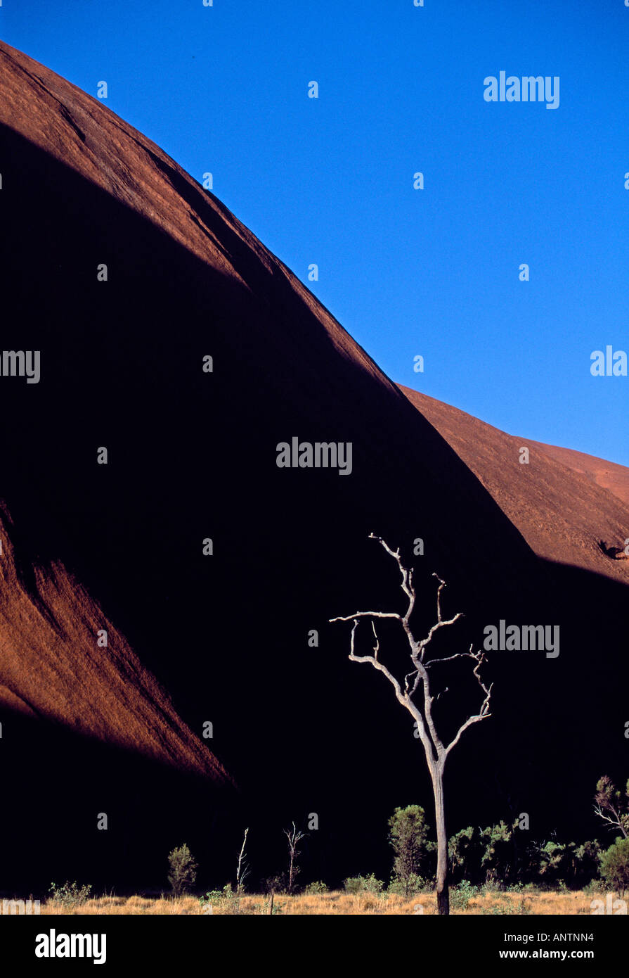 DESERTED SCENE IN THE DESERT Stock Photo - Alamy