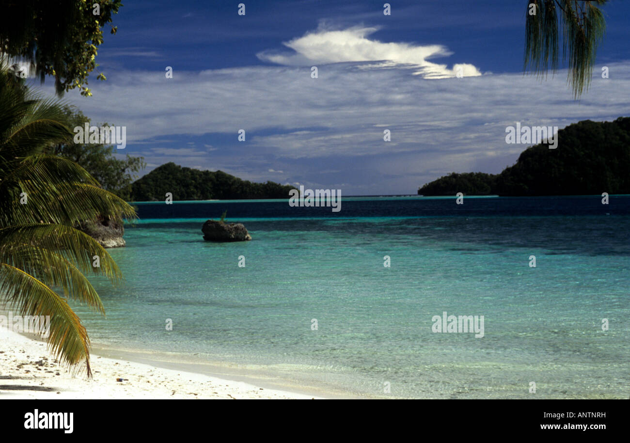Amazing ocean in the pacific islands of Palau Stock Photo - Alamy